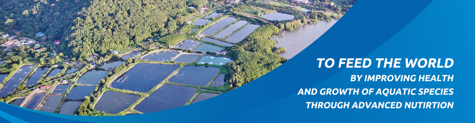 Vio Star International (Malaysia) Sdn Bhd Company Overview & Details ...