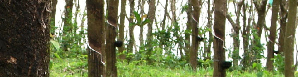 PERUSAHAAN GETAH CHEH HUAT SDN. BHD. Company Overview & Details - Maukerja