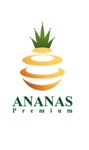 Ananas Premium Sdn Bhd Company Overview & Details - Maukerja