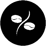 Daily Potion Coffee Company Overview & Details - Maukerja