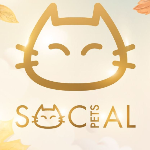 Profil Syarikat Cubix Media Sdn Bhd - Cari Kerja di Maukerja