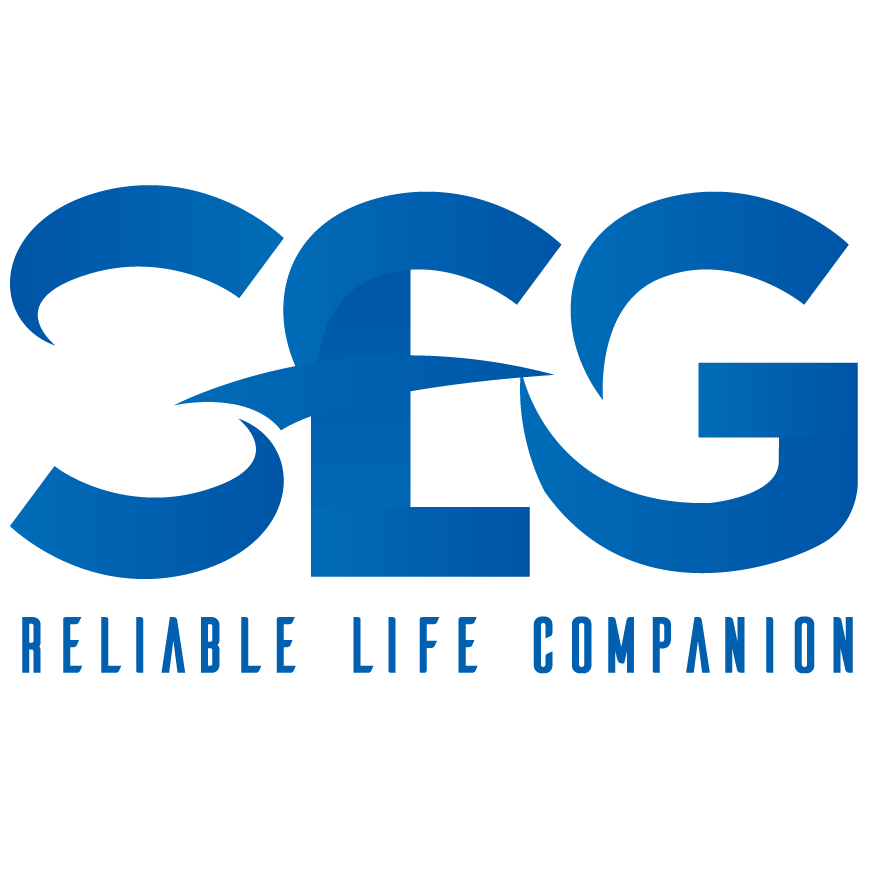 SEG Wealth Company Overview & Details - Maukerja