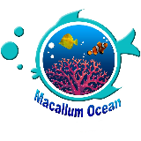 Macallum Ocean Sdn Bhd Company Overview & Details - Maukerja