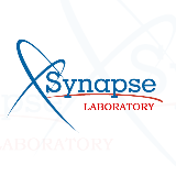 Working at Synapse Sdn Bhd - Company Profile & Information - Ricebowl.my