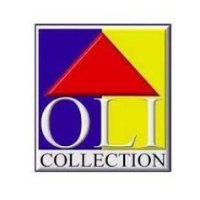 Oli Collection Company Overview & Details - Maukerja