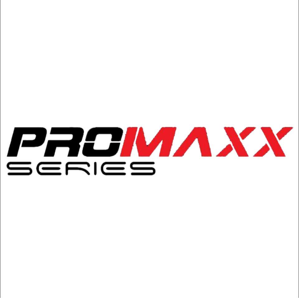 Promaxx Online Marketing Company Overview & Details - Maukerja