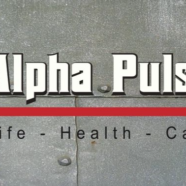 ALPHA PULSE SDN BHD Company Overview & Details - Maukerja
