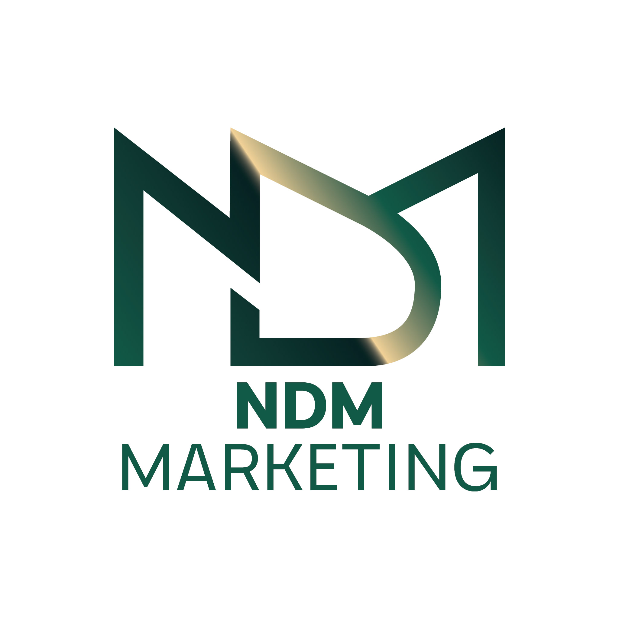 Project Manager Job description, responsibilities, salary, types, qualifications at Ricebowl ...