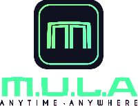 Mula Car International Sdn Bhd Company Overview & Details - Maukerja