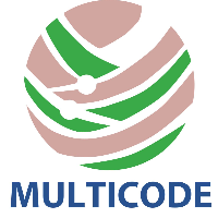 Multicode IT Connection Sdn Bhd Company Overview & Details - Maukerja