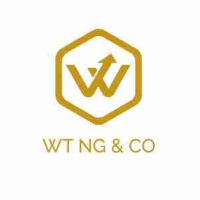 WT Ng & Co Company Overview & Details - Maukerja