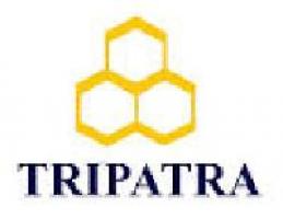 PT Tripatra Engineers And Constructors Company Overview & Details ...
