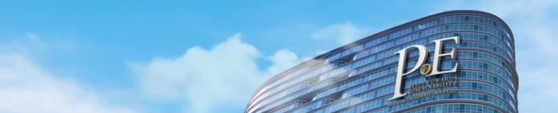 Working at PE Group Holdings - Company Profile & Information - Ricebowl.my