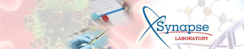 Working at Synapse Sdn Bhd - Company Profile & Information - Ricebowl.my