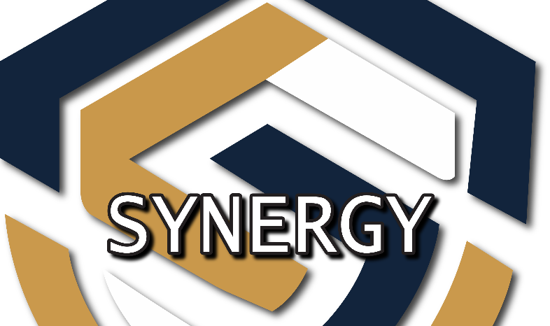 DMK Synergy Consultancy Company Overview & Details - Maukerja