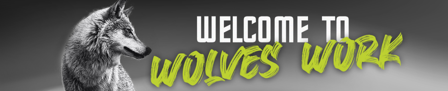 Working at Wolves Creative Sdn Bhd - Company Profile & Information - Ricebowl.my