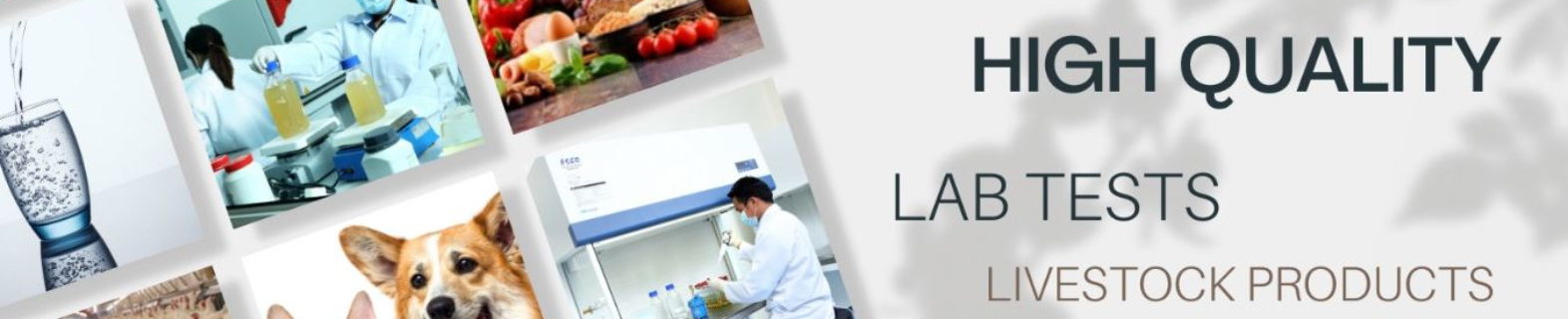 Profil Syarikat T&T Laboratory (sarawak) sdn. Bhd. - Cari Kerja di Maukerja