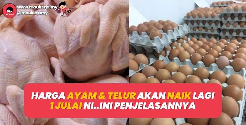 Harga Telur Dan Ayam Akan Naik Lagi 1 Julai Ini..Ini Korang Patut Tahu