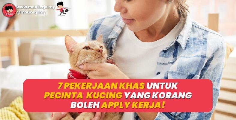 7 Pekerjaan Khas Untuk Pencinta Kucing Yang Korang Boleh Apply Kerja!